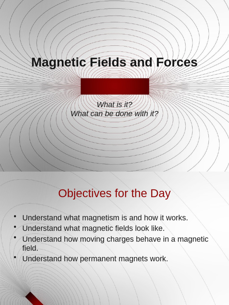 Day 1 - Magnetic Fields Slideshow | PDF | Magnetic Field | Magnetism