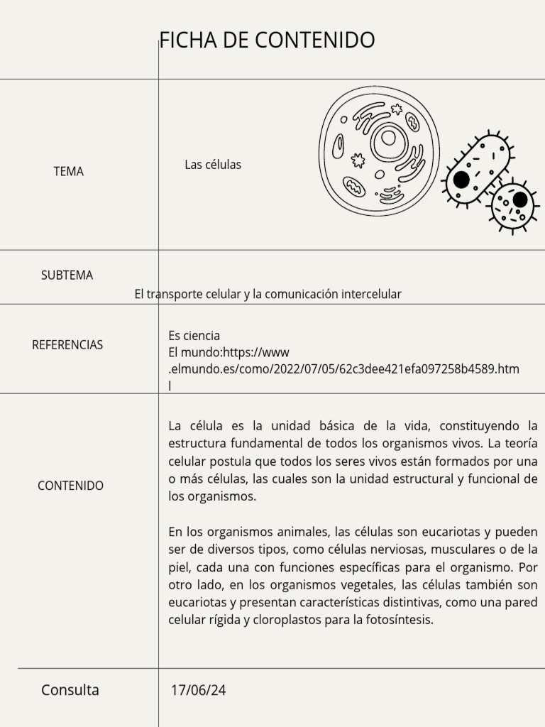 Beige Minimalist Table of Contents Document A4 | PDF