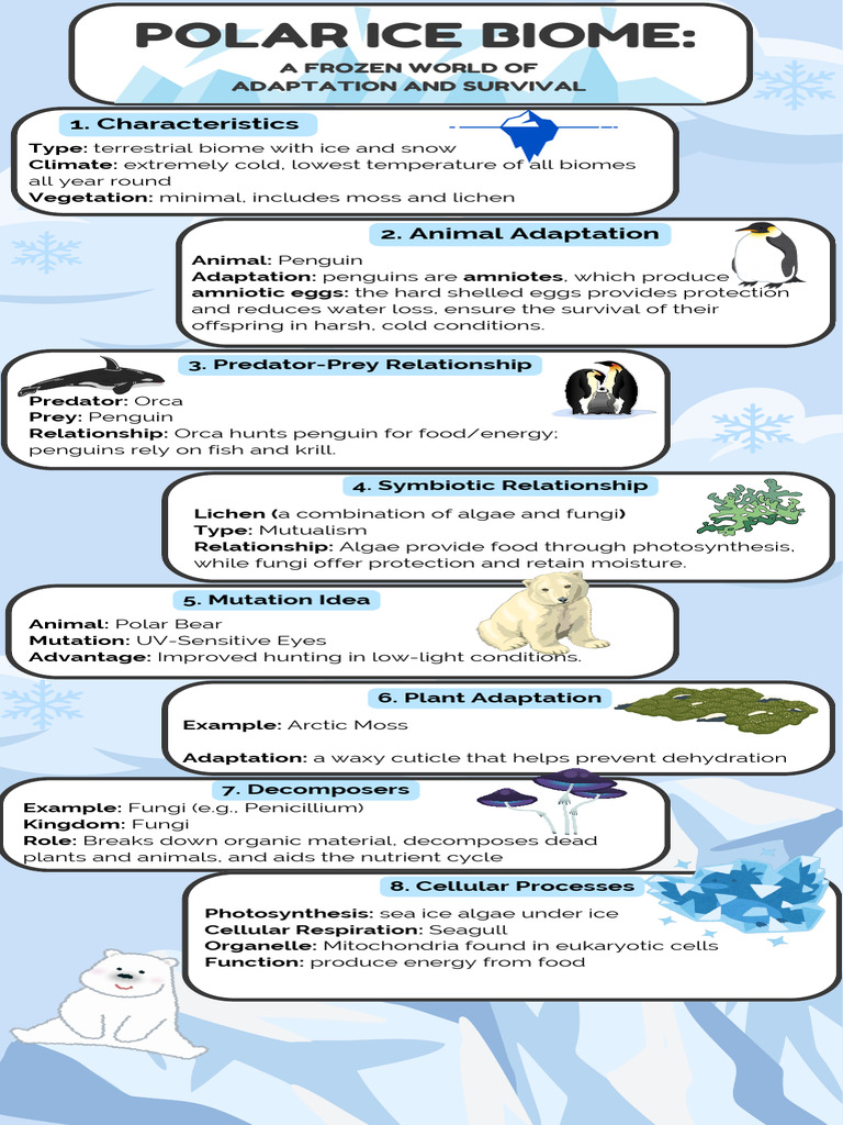 Polar Ice Infographic by Jay Cheng | PDF