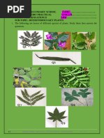 Atika School 2021 012 Mathematics Paper 1 | PDF