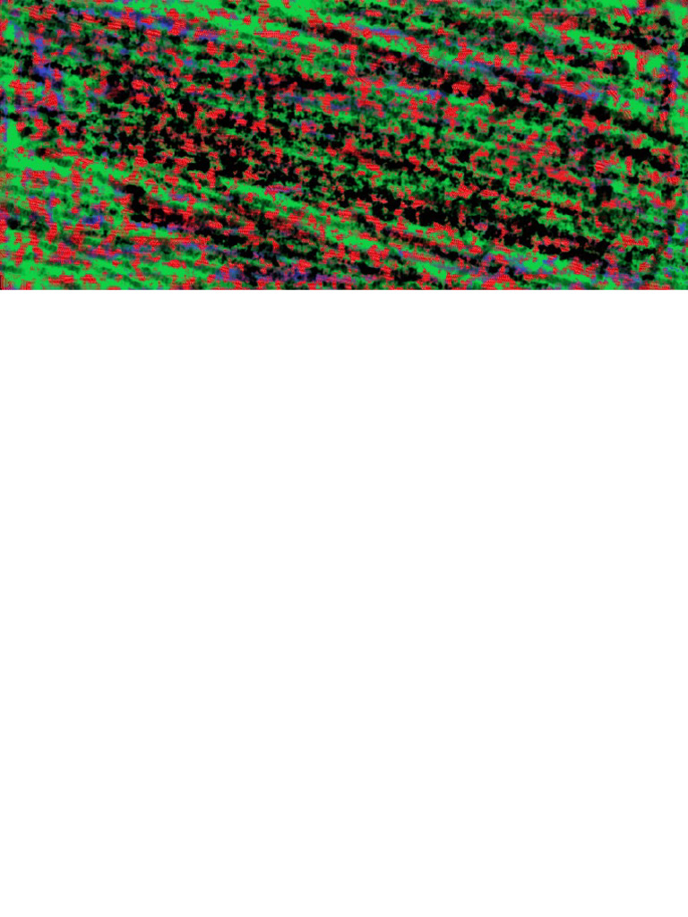 Sabs Paint 001 | PDF