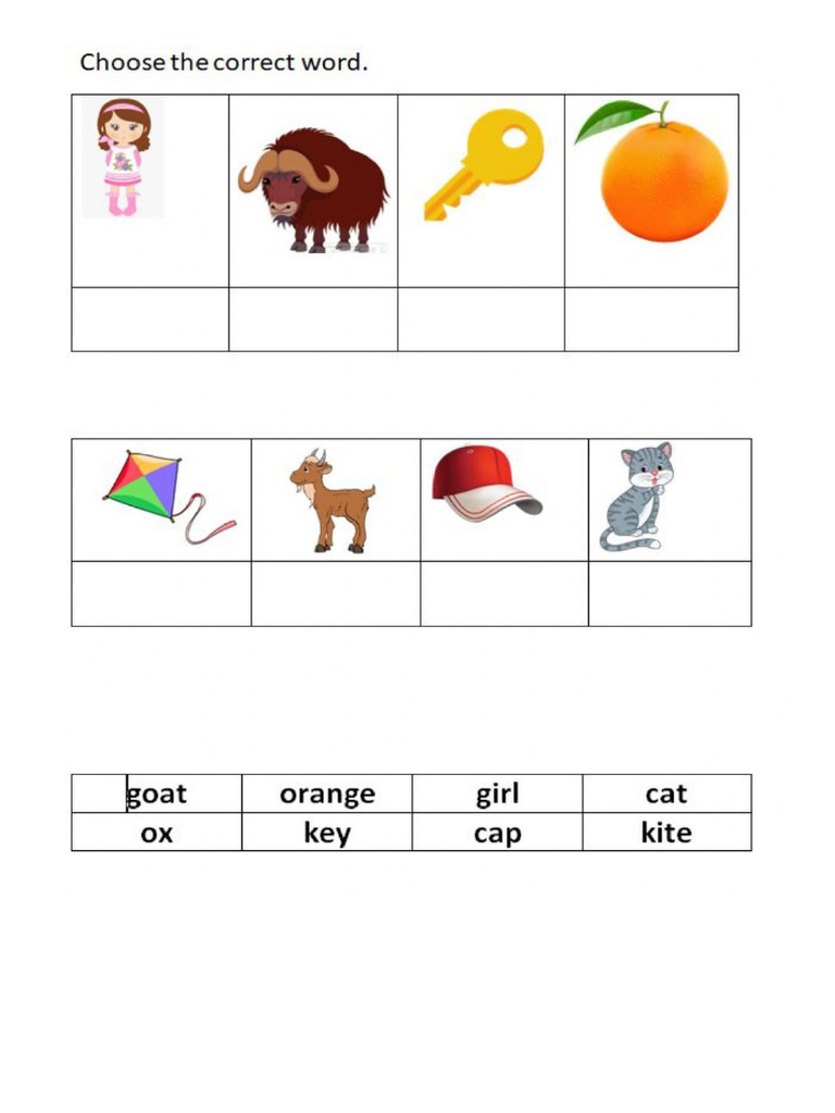 Gock Ws | PDF