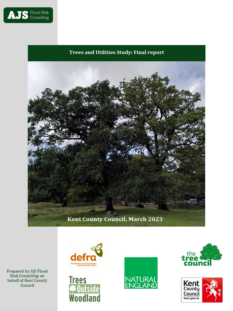 KCC Trees and Utilities Final Report PDF | PDF | Trees | Surface Runoff