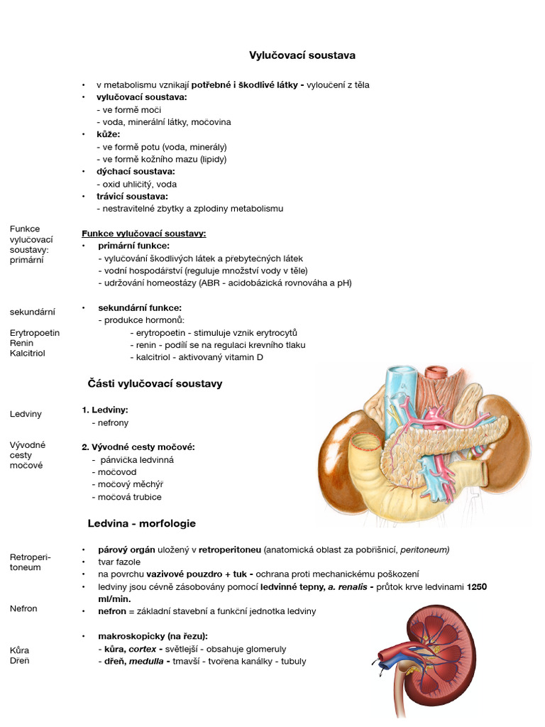 Biologie III Bez Popisov Obr. 2 | PDF