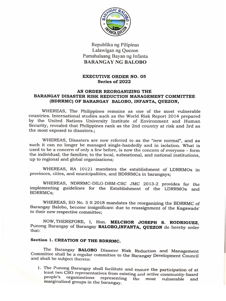 1.3-EO-BDRRMC-BALOBO | PDF