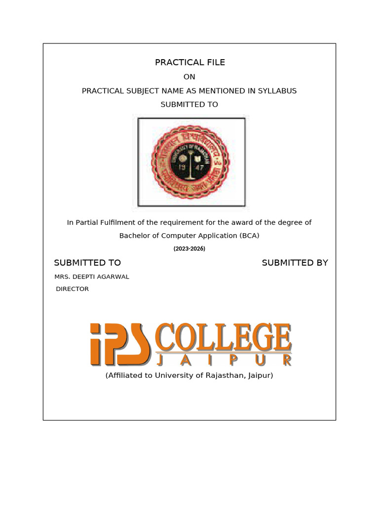 PRACTICAL FILE FORMAT BCA | PDF