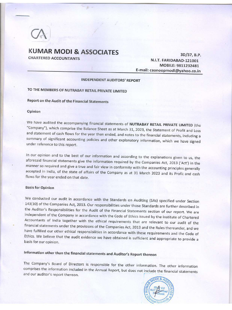 Auditor Report and Balance Sheet | PDF