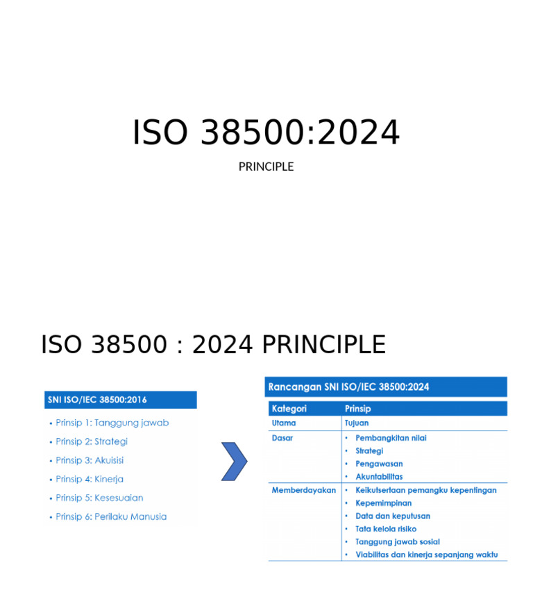 ISO 38500 Principle | PDF