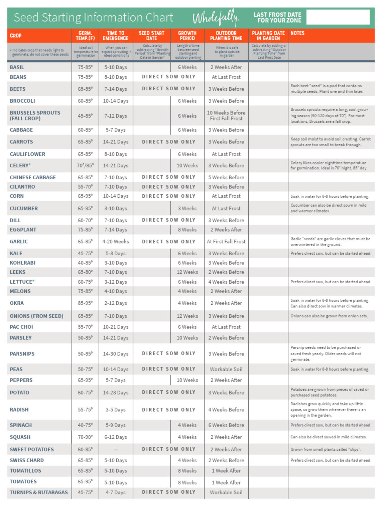 seed-starting-information-chart | PDF | Seed | Sowing