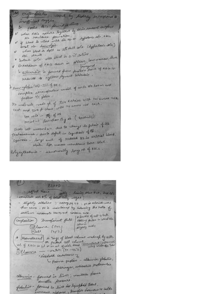 Handwritten Blood Notes | PDF