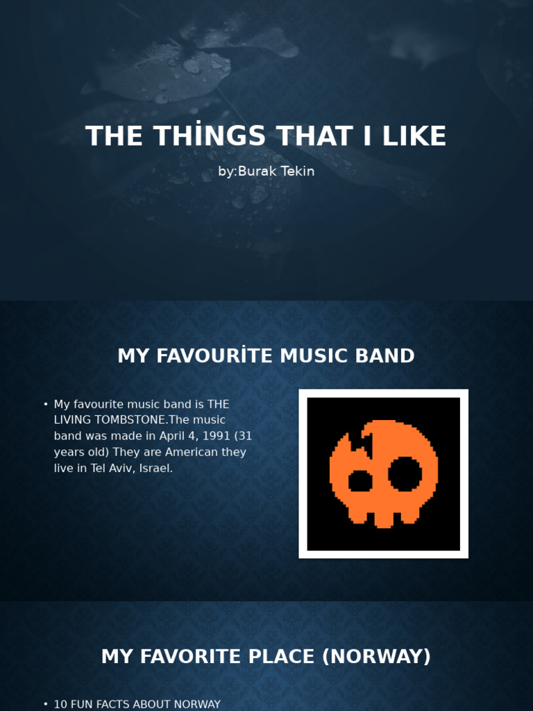 The Things That I Lıke | PDF