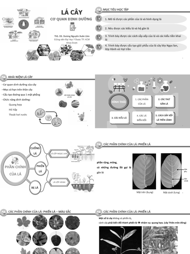 Httpselearning - Ump.edu - Vnpluginfile.php88374mod ...