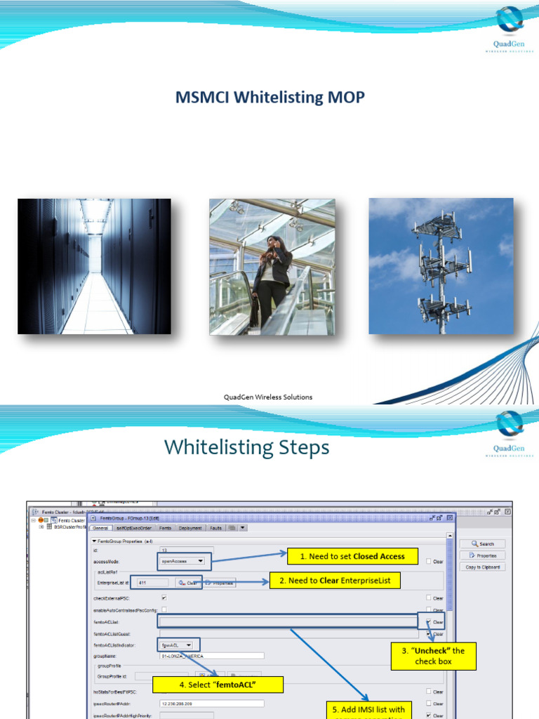 MSMCI Whitelisting Steps Guide | PDF