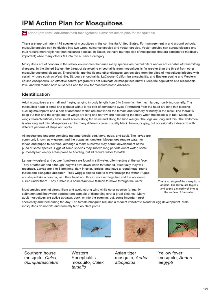 IPM Action Plan For Mosquitoes | PDF | Mosquito | Insecticide