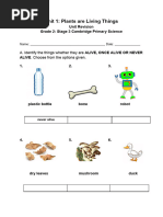 Cambridge Grade 2 Science Worksheets | PDF | English As A Second Or ...