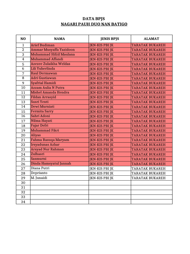 Data Bpjs Pdnb | PDF