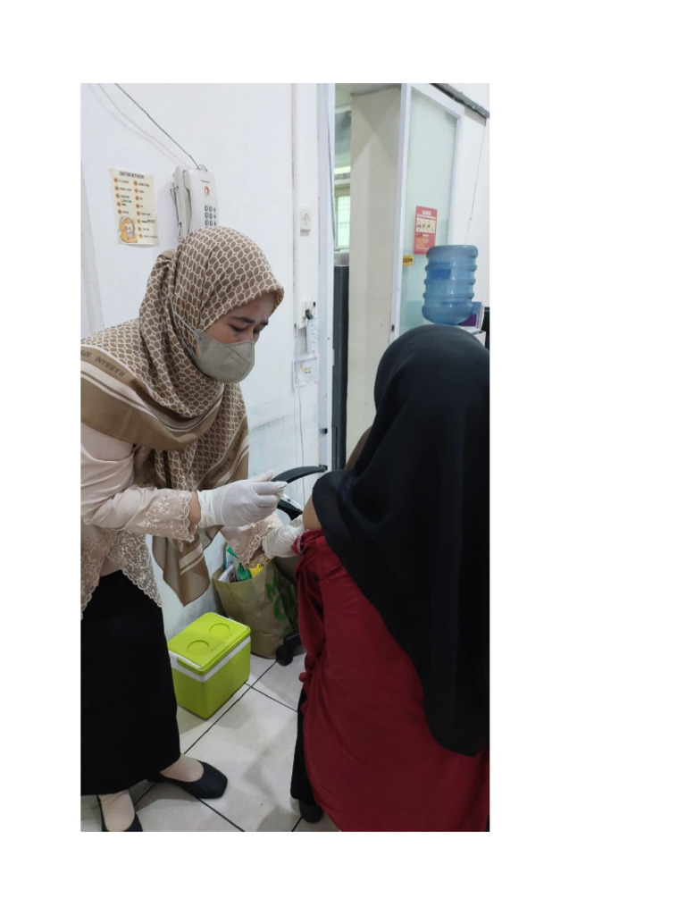 Periksa Lila Bumil Kek | PDF