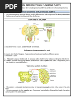 Cbse Class 12 Biology Notes Chapter 1 | PDF | Seed | Pollen
