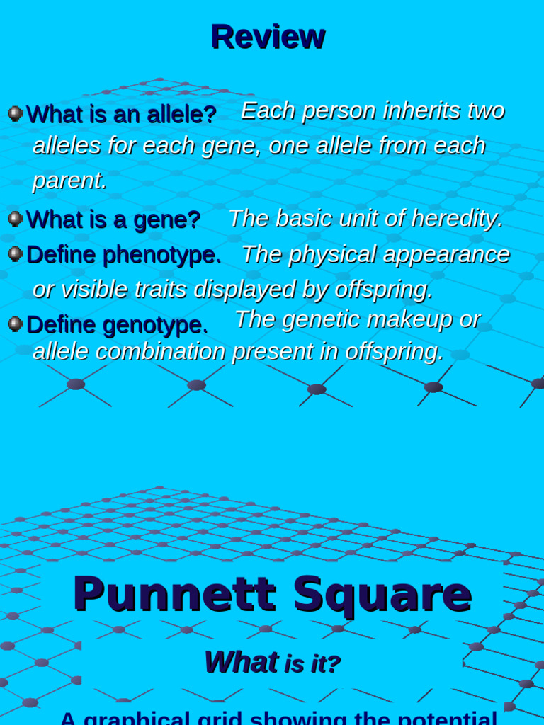 5b. Punnett Square lesson | PDF | Dominance (Genetics) | Allele