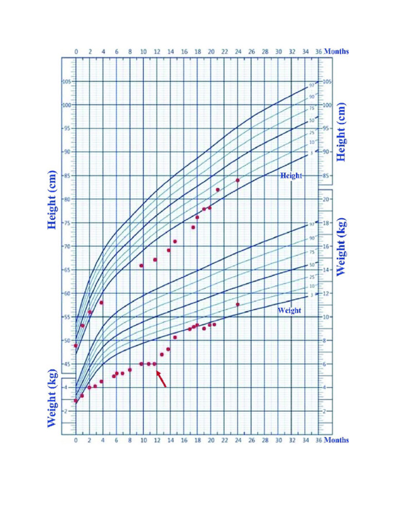 growth chart | PDF