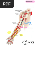 EVOS Wrist Surgical Technique Smith and Nephew | PDF | Drill | Screw