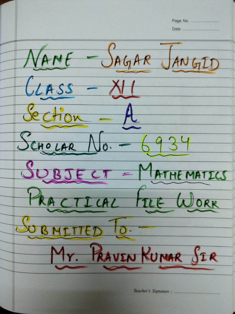 Maths Practical Manual File Work Done by Sagar Jangid | PDF