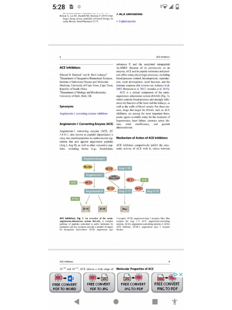 Ace 1 Pdf