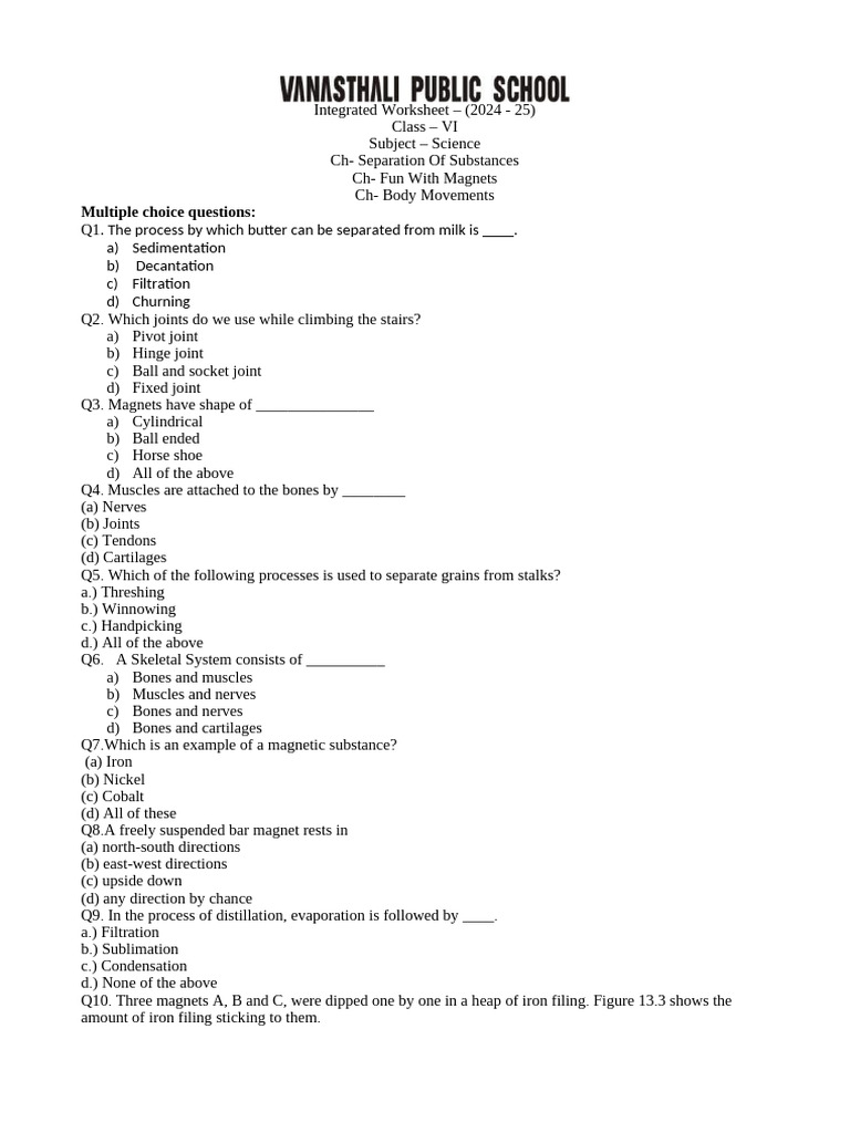 Integrated Worksheet Class 6 2024-25 | PDF | Mixture