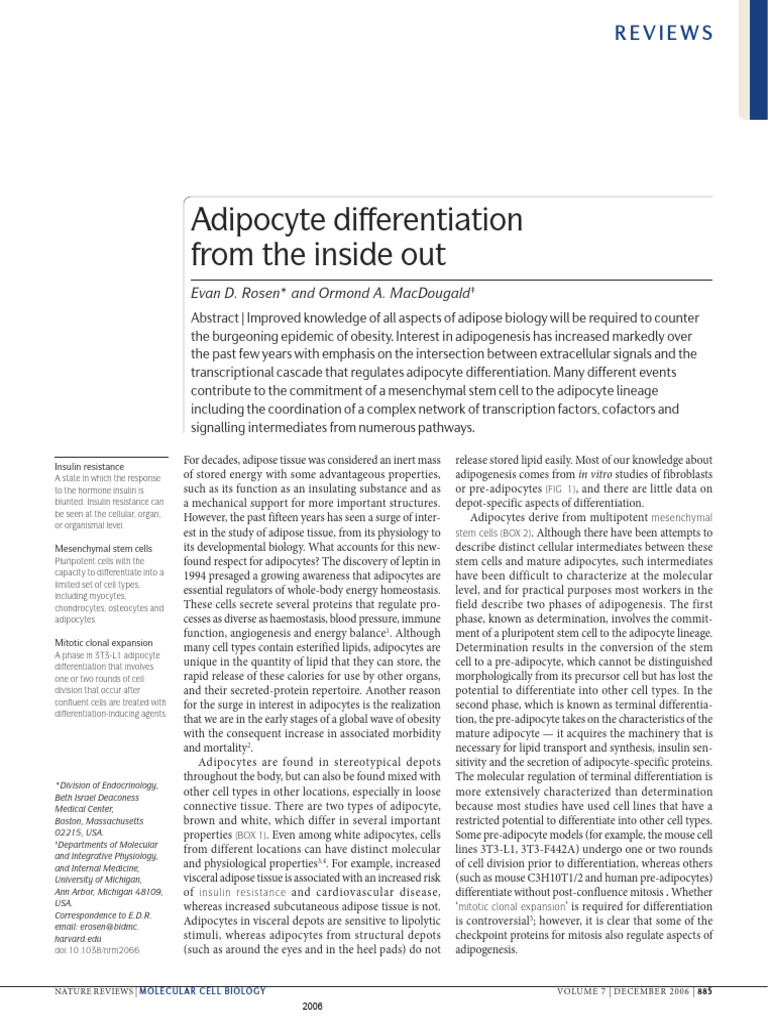 Adipocyte Differentiation From The Inside Out | PDF | Adipocyte ...