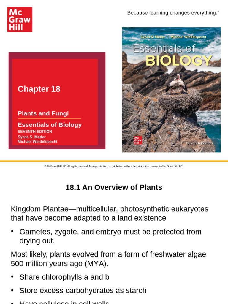 Mader Essentials 7e LecturePPT Ch18 ACCESS | PDF | Fungus | Seed