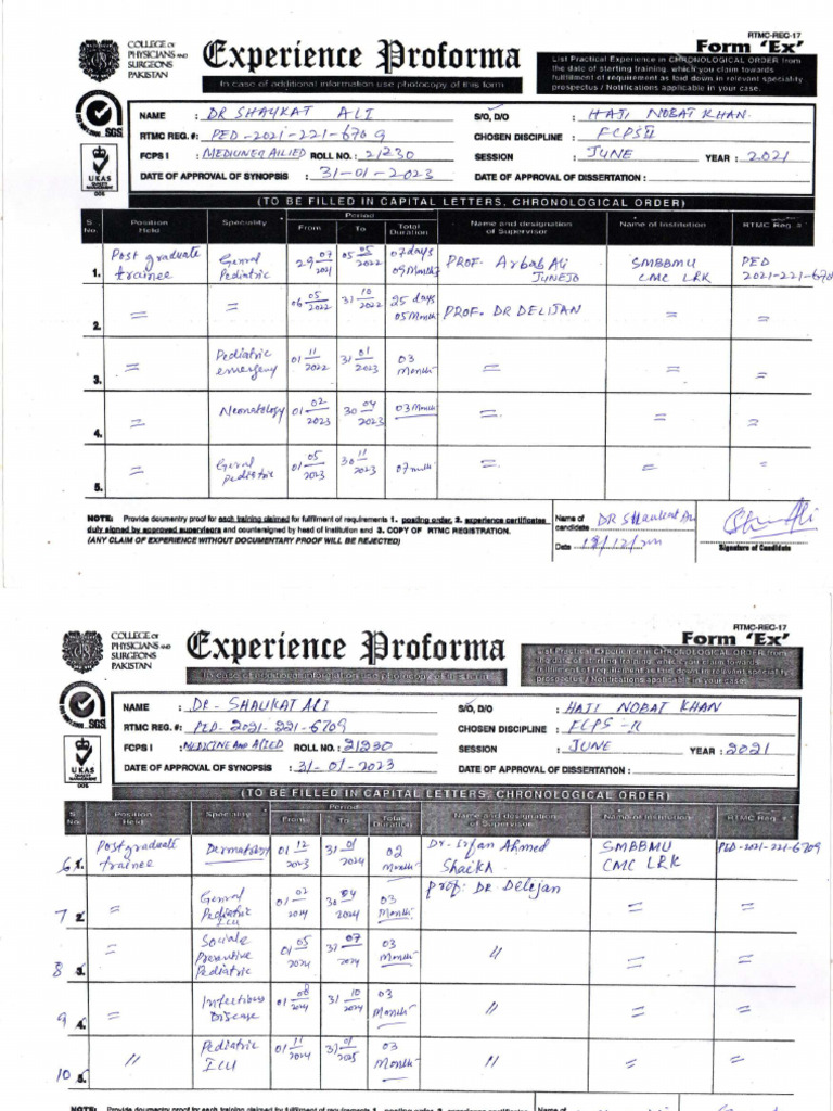 Experience Proforma | PDF