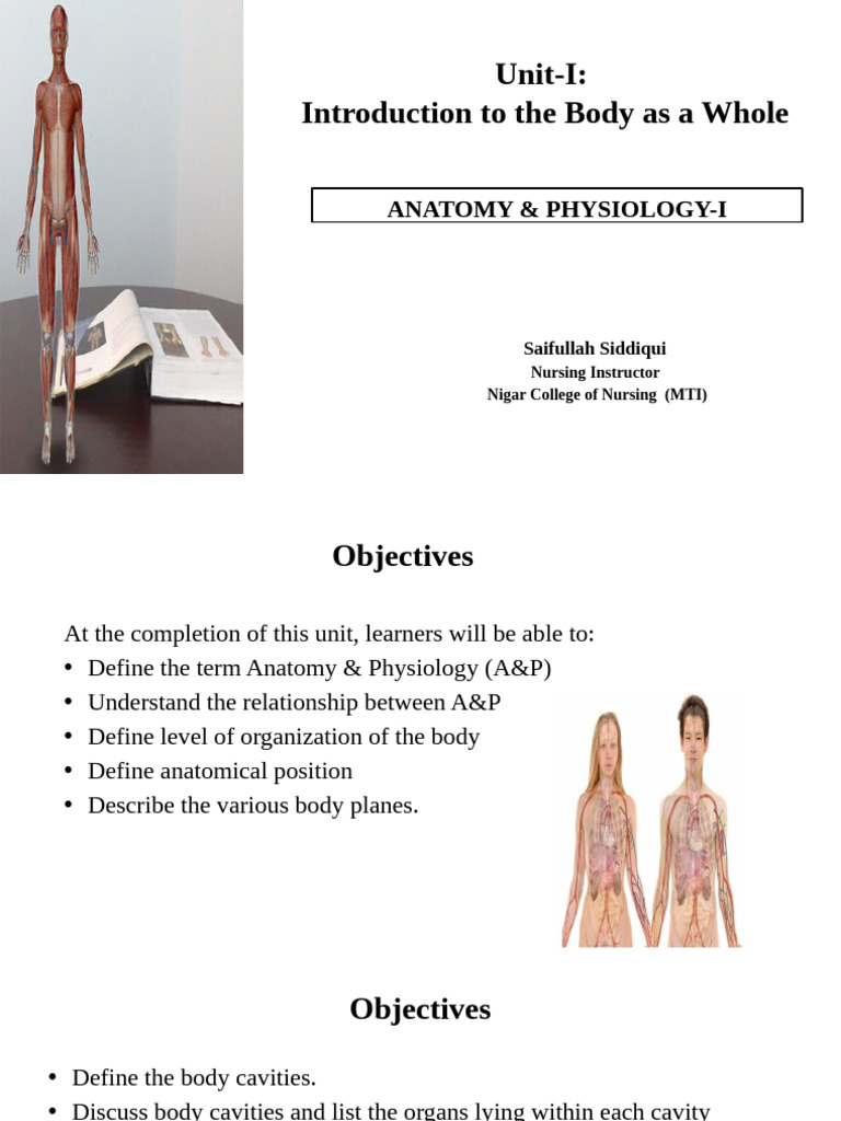UNIT 1 Anatomy and Physiology Saif | PDF | Anatomical Terms Of Location | Vertebral Column