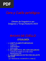 Ángulo de Louis | PDF | Tórax | Anatomía humana