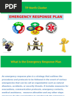 Emergency Light Checklist | PDF