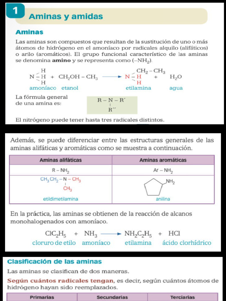 Aminas y Amidas | PDF