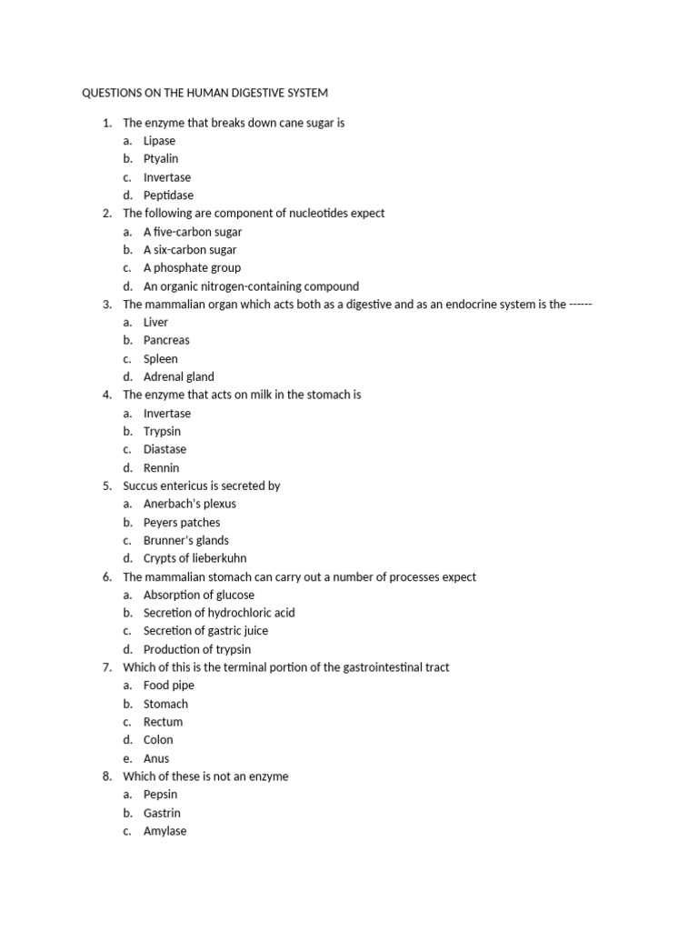 QUESTIONS ON THE HUMAN DIGESTIVE SYSTEM | PDF | Digestion | Stomach