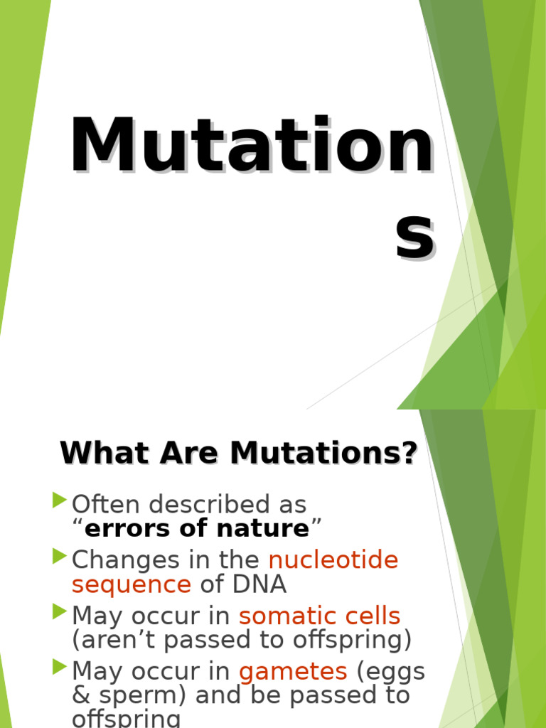 Lesson 1 Types of Mutation | PDF | Mutation | Point Mutation