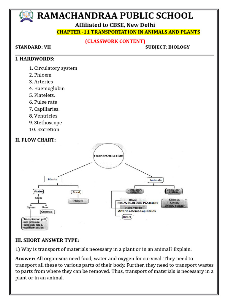 16 46 11 Grade Vii - Bio - CH 7 - Transportation in Animals Plants | PDF