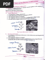 11th STD - BIOLOGY PRACTICAL BOOK | PDF