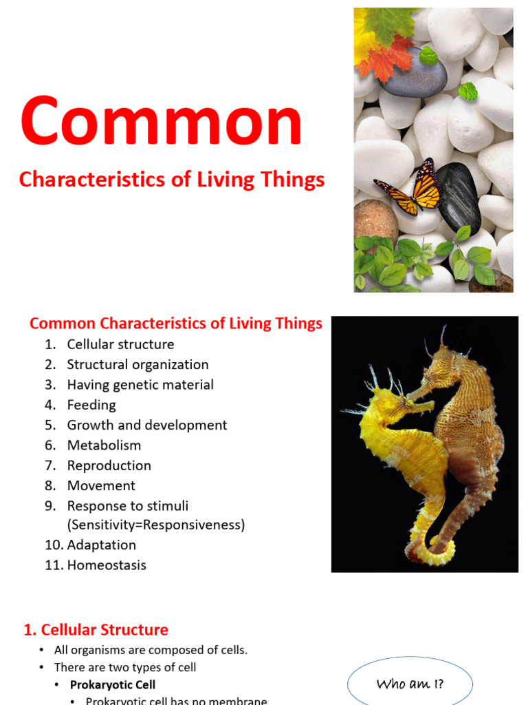 Key Traits of Living Organisms | PDF | Cell (Biology) | Metabolism