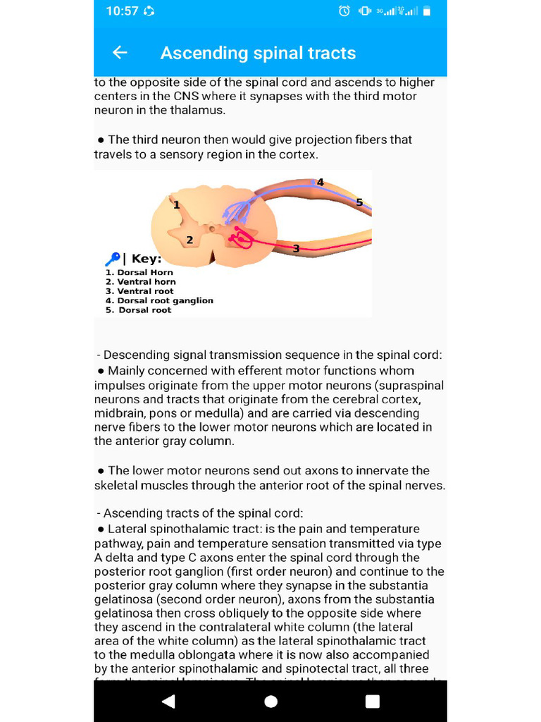 PDFReader 20250109 1102 | PDF