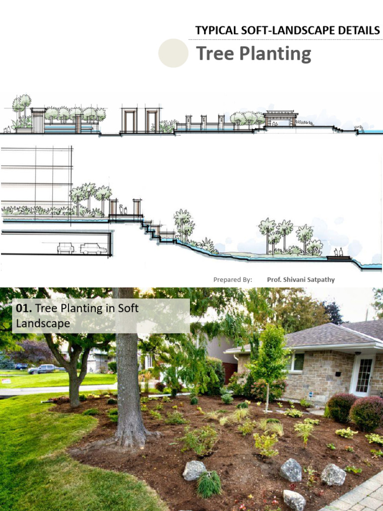 01 - Landscape Details - Softscape - Tree Planting | PDF