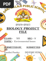 Environmental Pollution Project | PDF | Natural Environment | Sound