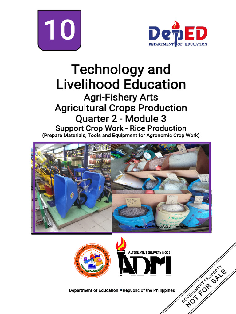 Tle Afa Crops Grade q2 m3 100305 | PDF | Personal Protective Equipment ...