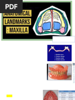 Anatomical Landmarks of Maxilla and Mandible | PDF