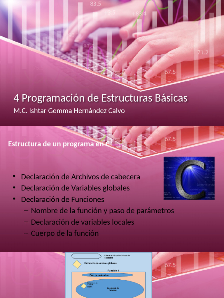 Estructuras Basicas | PDF | Programación | Programa de computadora