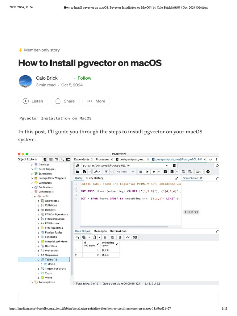 How to Install pgvector on macOS. Pgvector Installation on MacOS - by Calo Brick技術貼 - Oct, 2024 ...
