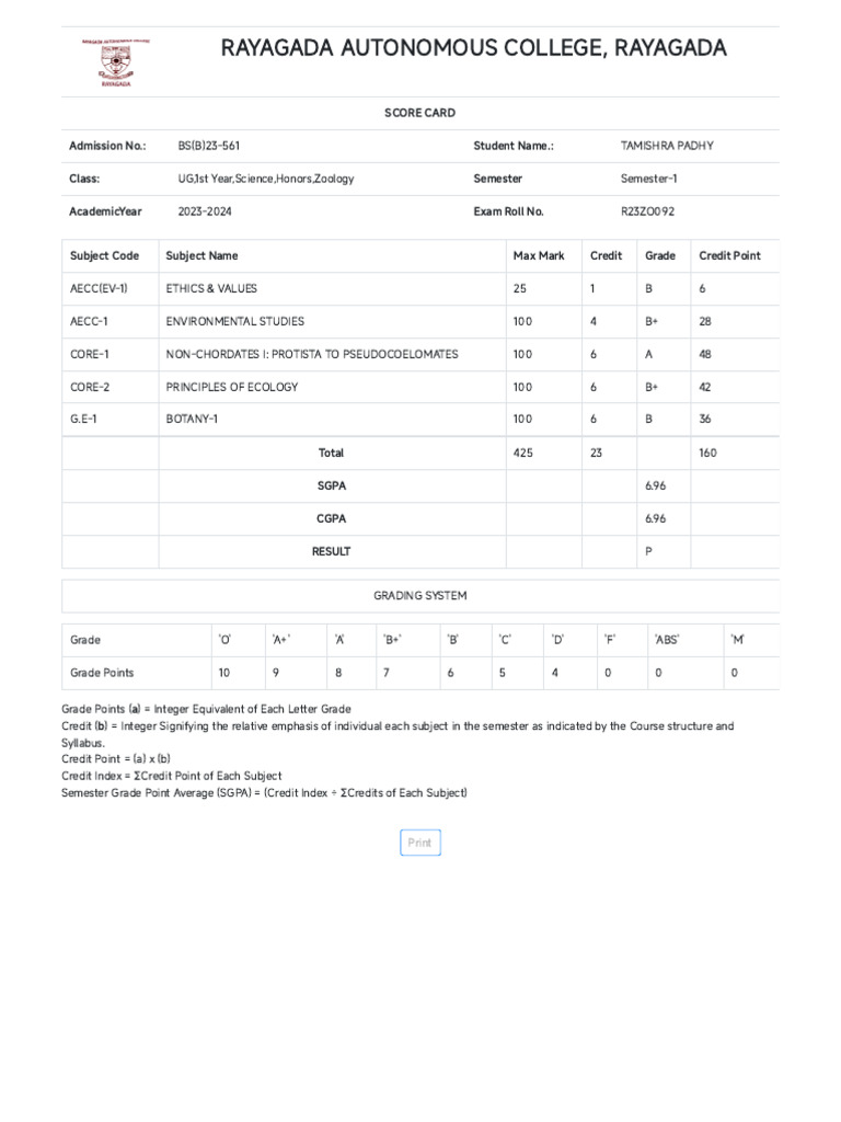 Rayagada College 1st Semester Results | PDF