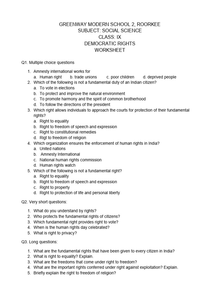 CLASS IX SOCIAL SCIENCE WORKSHEET | PDF | Government Of India | Justice