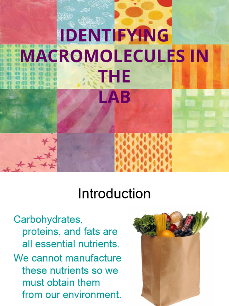 Lesson 2 Identifying Macromolecules | PDF | Carbohydrates | Glucose